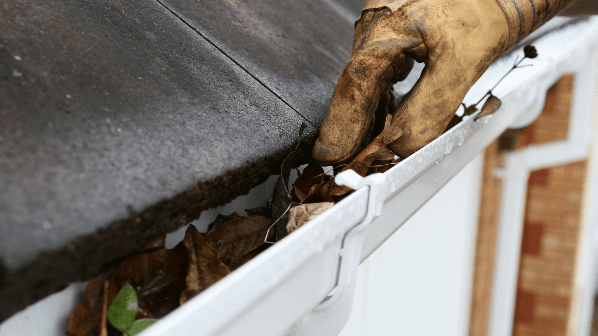 4 Best Gutter Cleaning Robots In 2023 - Robot Chores